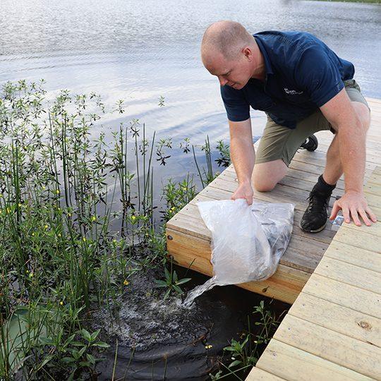 Freshwater Farm November Update - Freshwater Farm – FreshwaterFarm